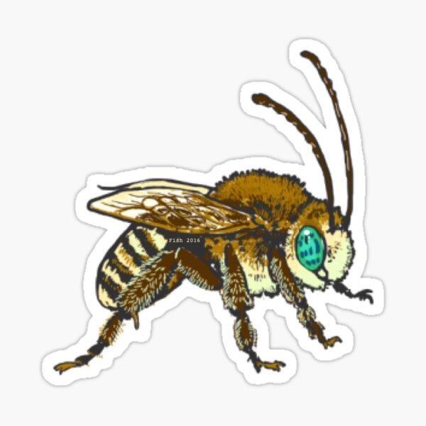 "Apidae - Melissodes" Sticker for Sale by PrettyPolistes | Redbubble