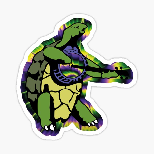 "Turtle playing Banjo Turtle and Guitar Stoned Turtle Playing Banjo ...