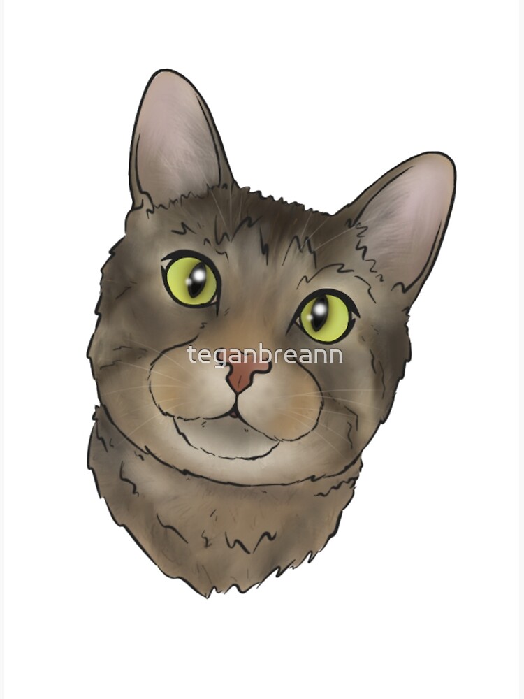 "Henry the Cat (Transparent)" Poster by teganbreann | Redbubble