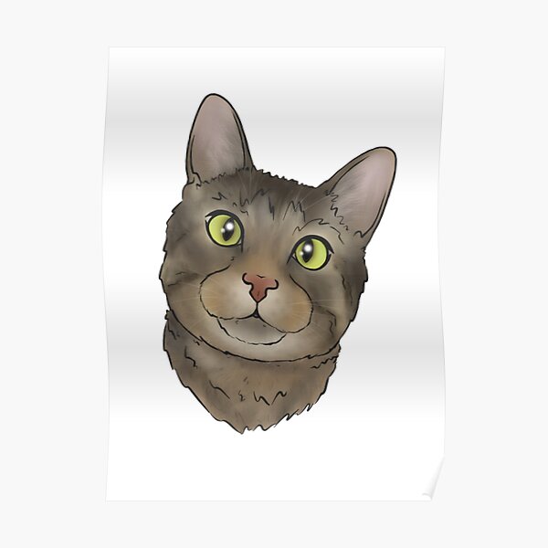 "Henry the Cat (Transparent)" Poster by teganbreann | Redbubble