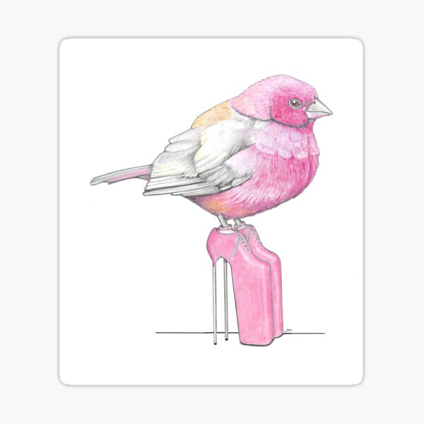 "Firefinch in Very High Heels" Sticker for Sale by JimsBirds | Redbubble