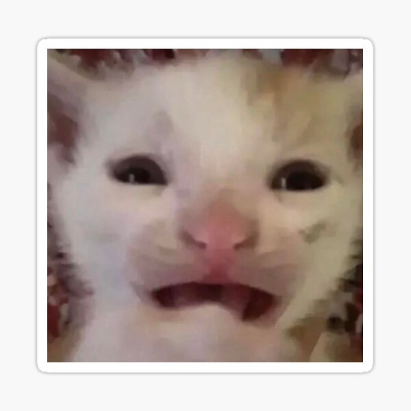 "Crying cat meme" Sticker for Sale by Agathepages | Redbubble
