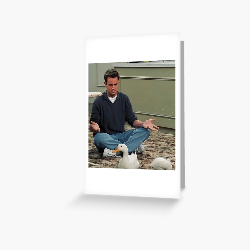 "Matthew Perry" Sticker for Sale by sesamestreett | Redbubble