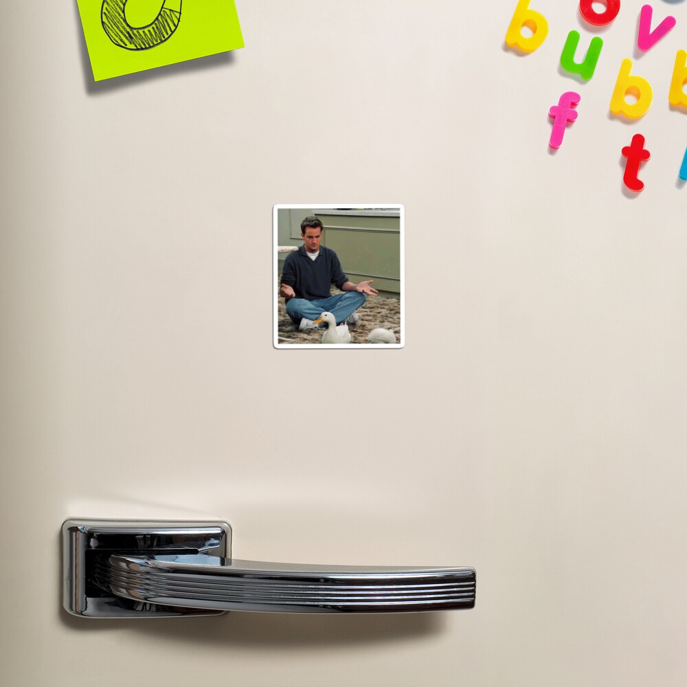 "Matthew Perry" Sticker for Sale by sesamestreett | Redbubble