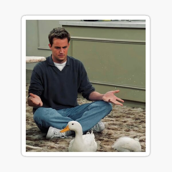 "Matthew Perry" Sticker for Sale by sesamestreett | Redbubble