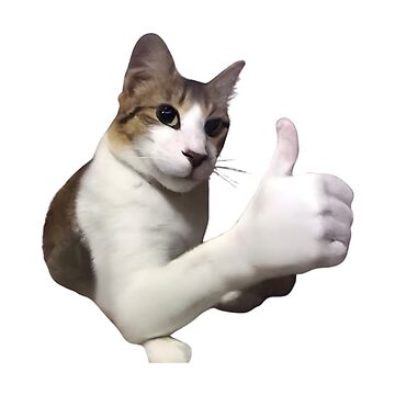 "very good meme cat" Sticker for Sale by ipoppppp | Redbubble