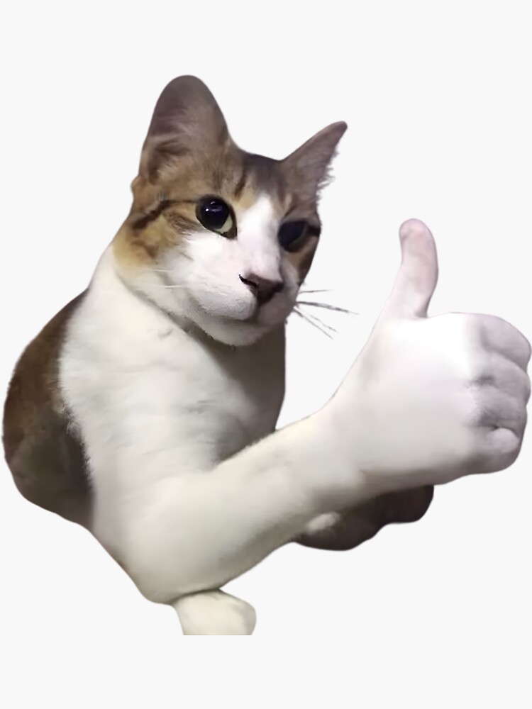 "very good meme cat" Sticker for Sale by ipoppppp | Redbubble