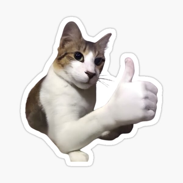 "very good meme cat" Sticker for Sale by ipoppppp | Redbubble