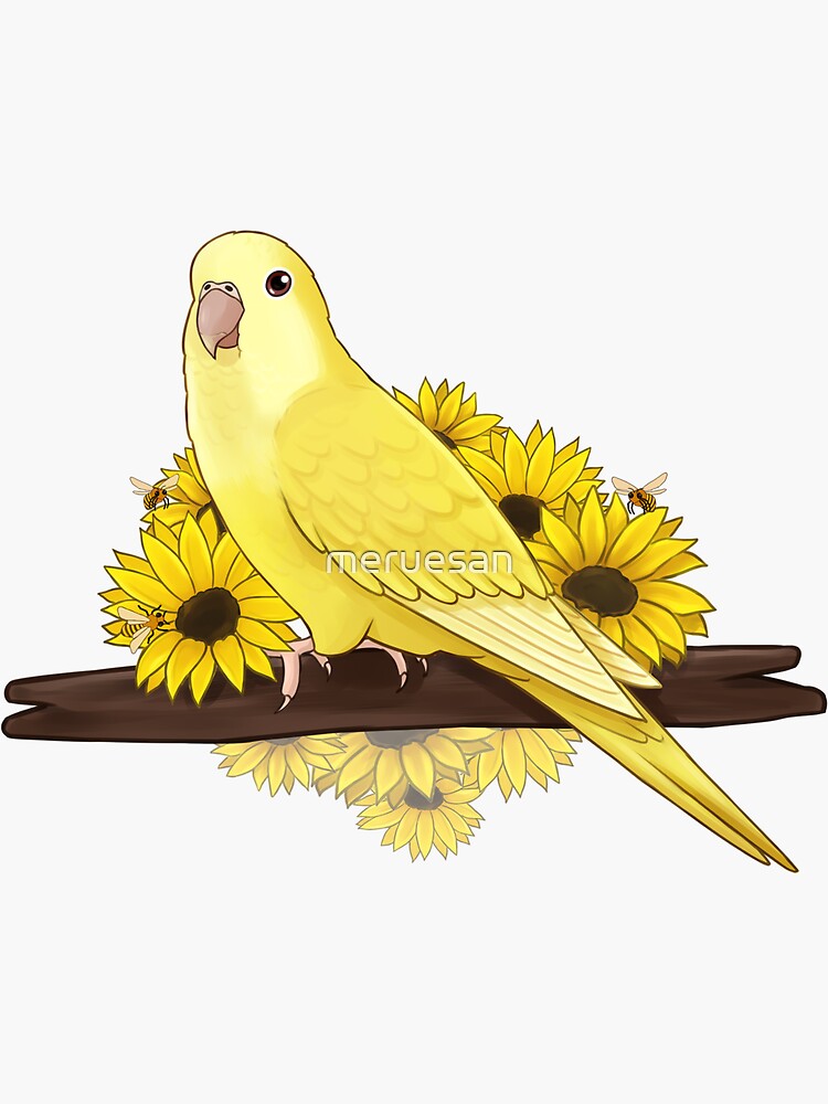 "Cute Quaker Parrot" Sticker for Sale by meruesan | Redbubble