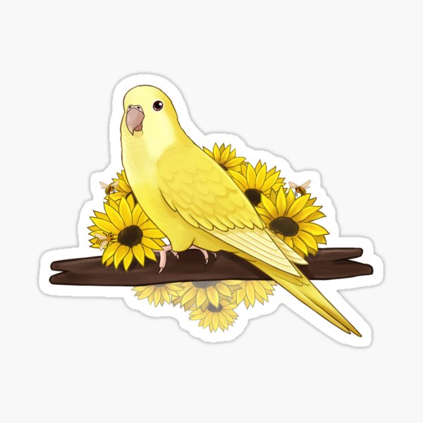 "Cute Quaker Parrot" Sticker for Sale by meruesan | Redbubble