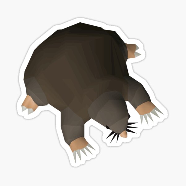 Osrs Merch & Gifts for Sale | Redbubble