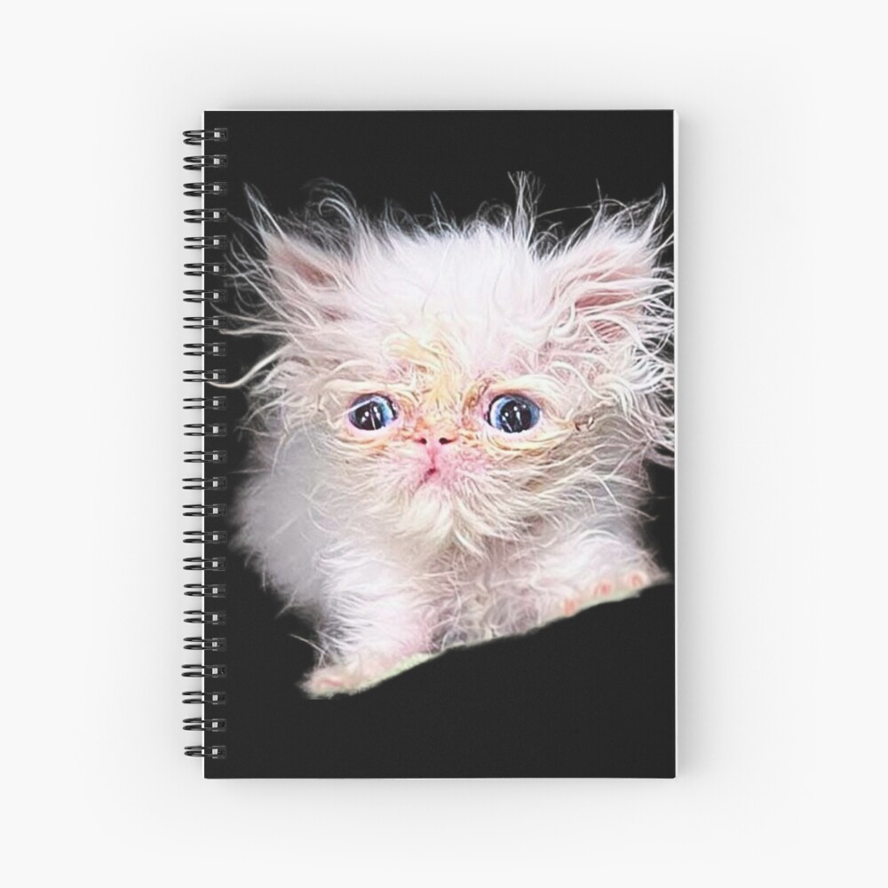 "Wisp Cat" Poster for Sale by Reo12 | Redbubble