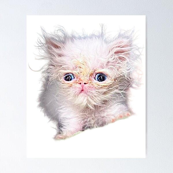 "Wisp Cat" Poster for Sale by Reo12 | Redbubble