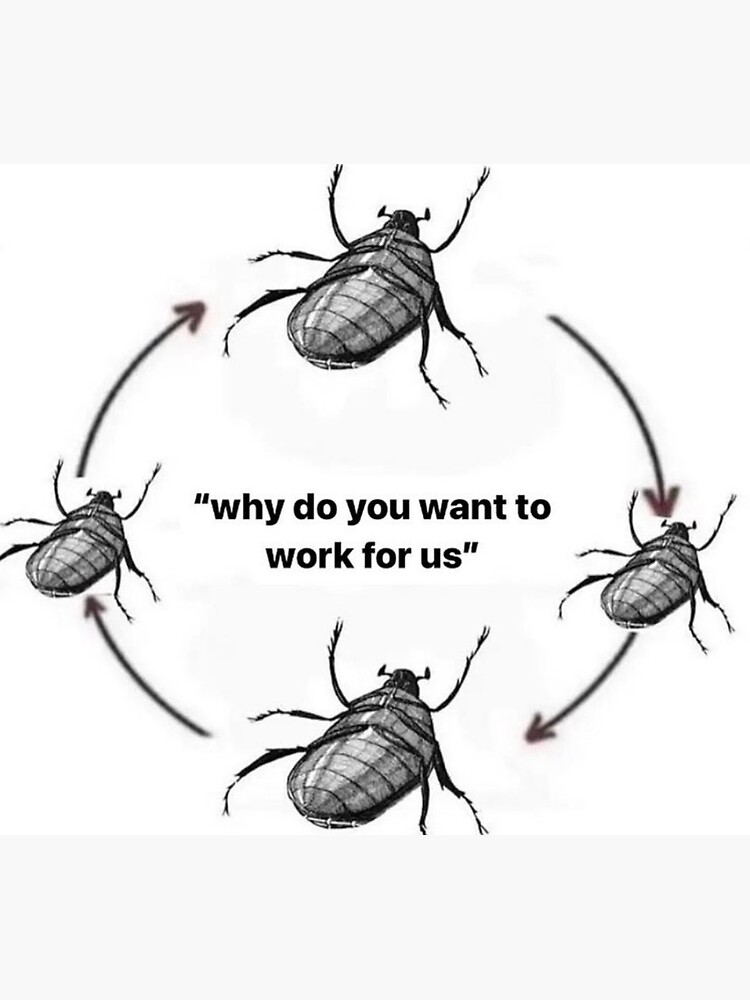 "metamorphosis by franz kafka meme" Sticker for Sale by Agathepages ...