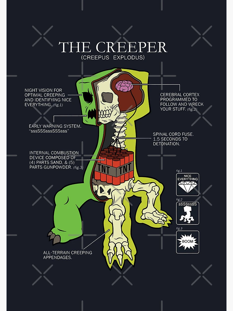 Minecraft Creeper Anatomy Download Brain Box For The Minecraft Creeper