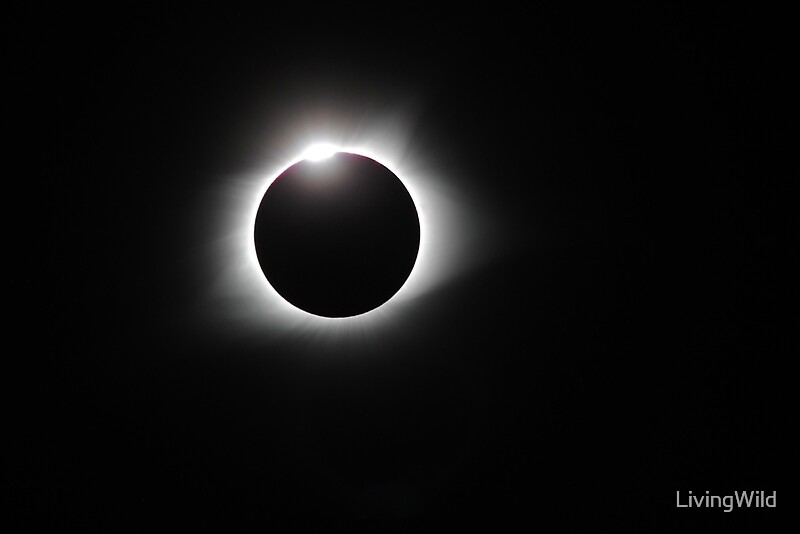"Solar Eclipse - Magic and Mysteries of Iconic Nature" by LivingWild ...