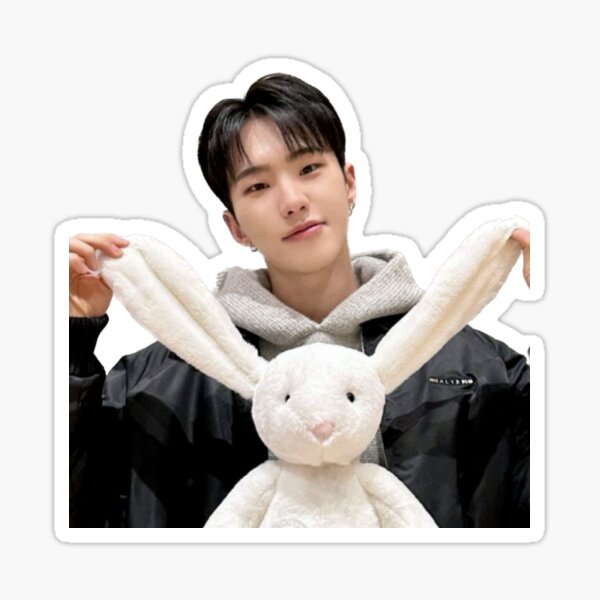 "Hoshi, Soonyoung Kwon, Tiger, Horanghae, Sebong, Kpop, Korean, Cute ...