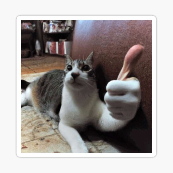"Cat thumbs up" Sticker for Sale by JamesPSD | Redbubble
