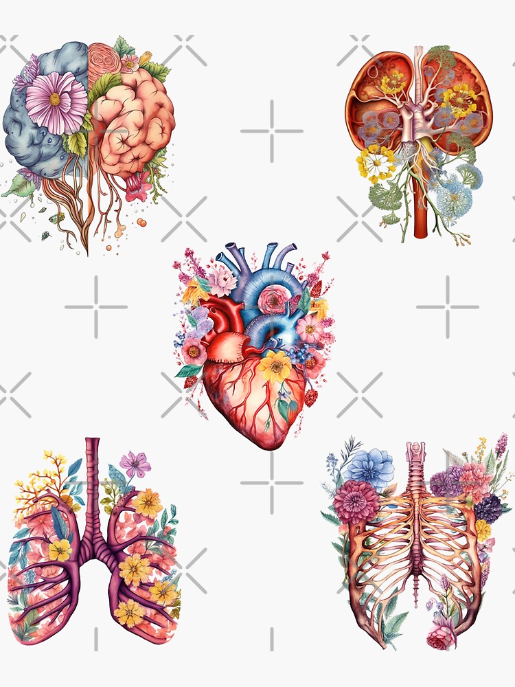 "Set of floral Human organs, Bloom Floral human organs, Anatomy flower ...