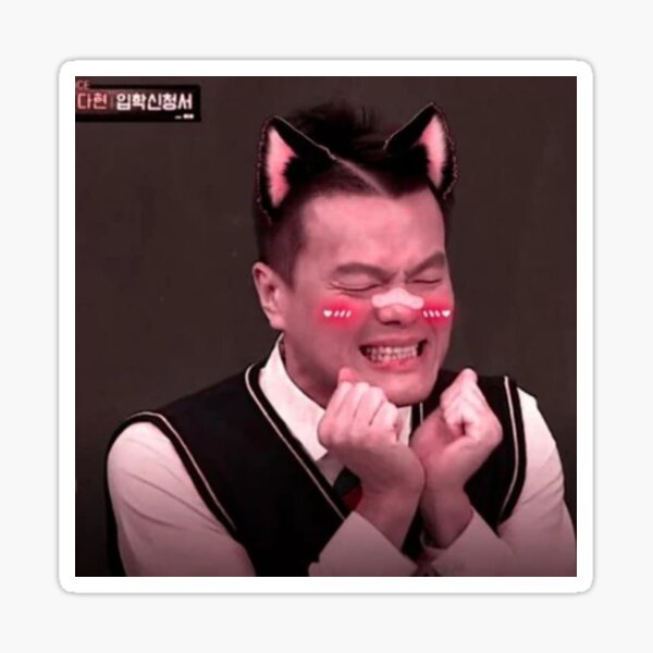 "Kitty JYP" Sticker for Sale by SpaceBoi29 | Redbubble