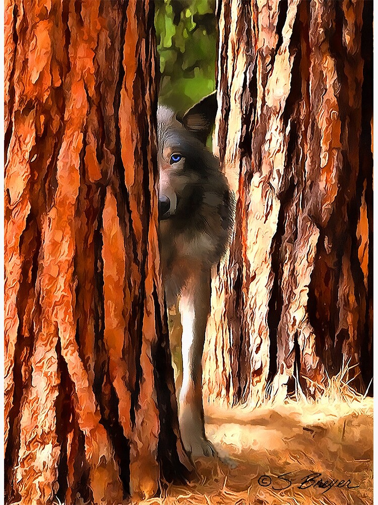 "Wolf watching you" Poster for Sale by kediddlehopper | Redbubble