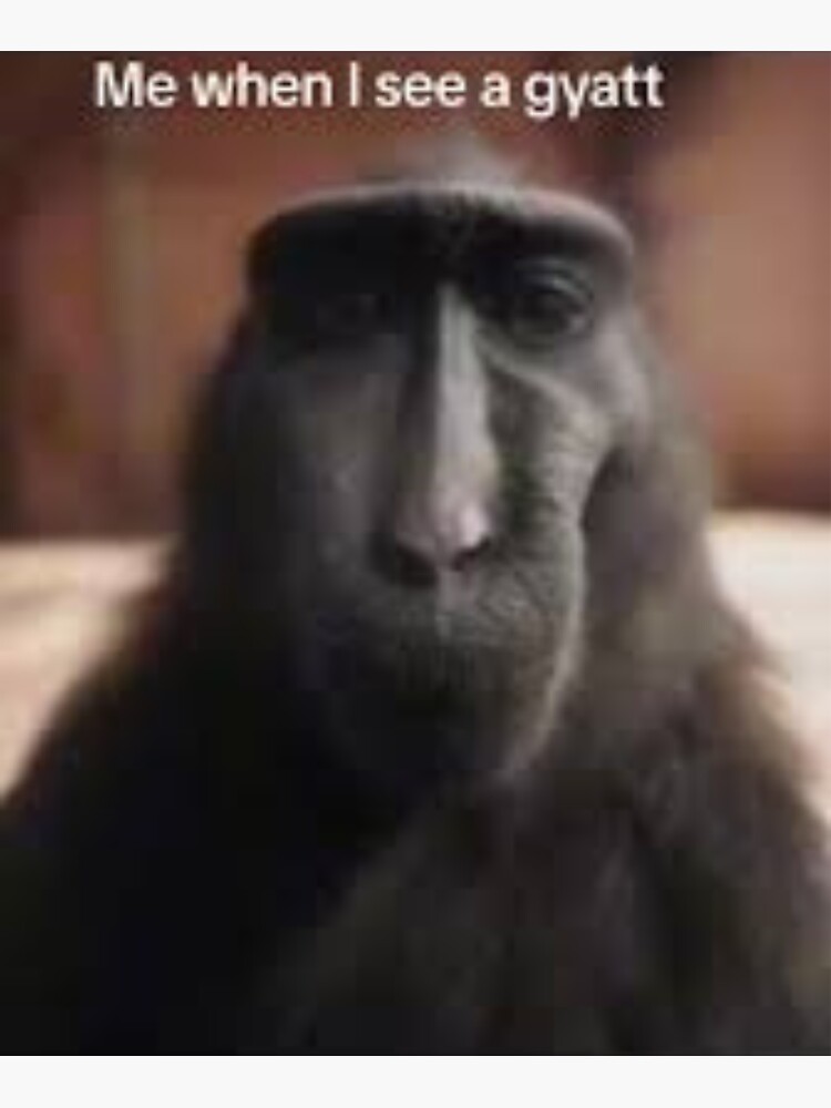 "Me when i see gyatt" Sticker for Sale by TheDressShoppe | Redbubble