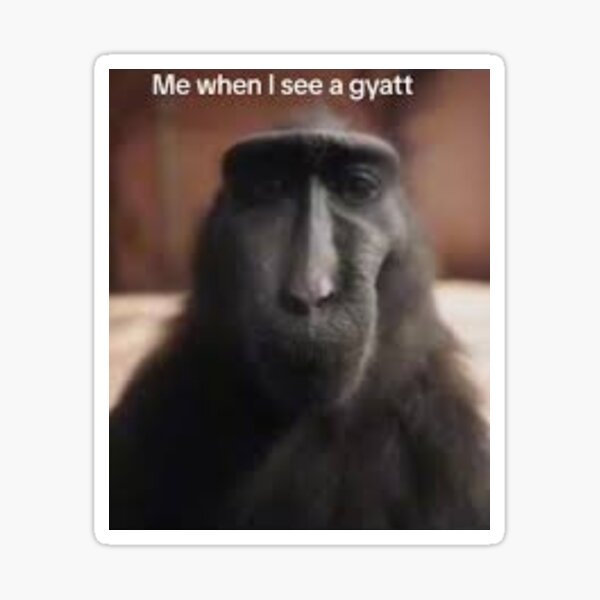 "Me when i see gyatt" Sticker for Sale by TheDressShoppe | Redbubble