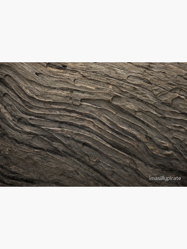 "Wood texture with insect trails" Poster by imasillypirate | Redbubble