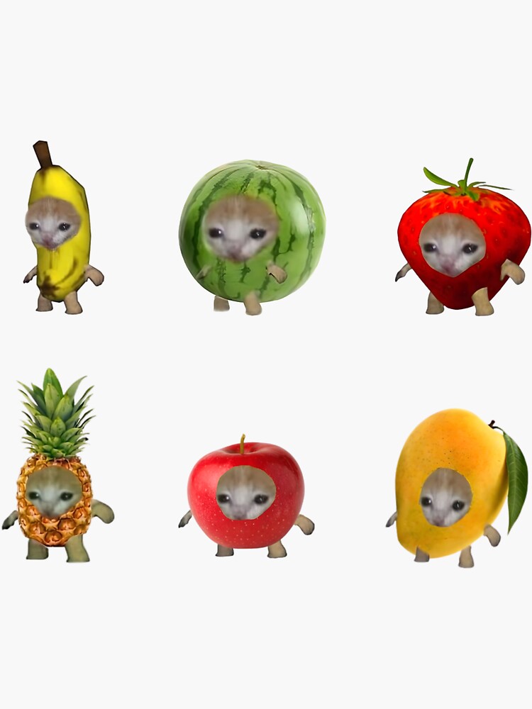 "Fruit Cats Sticker Pack" Sticker for Sale by QuirkGallery | Redbubble