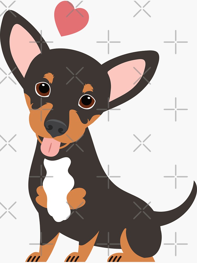 "Tricolor Chiweenie Dachshund Chihuahua Mix Upright Ears" Sticker for ...