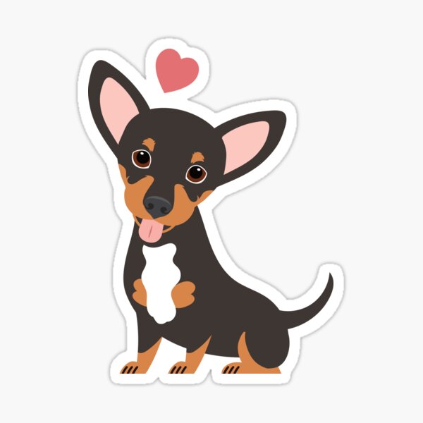 "Tricolor Chiweenie Dachshund Chihuahua Mix Upright Ears" Sticker for ...