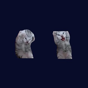 "Kitten Headache Cat Meme 2" Sticker for Sale by StellitoDesign | Redbubble