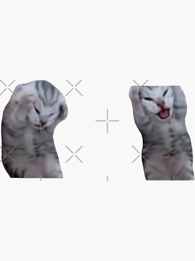 "Kitten Headache Cat Meme 2" Sticker for Sale by StellitoDesign | Redbubble