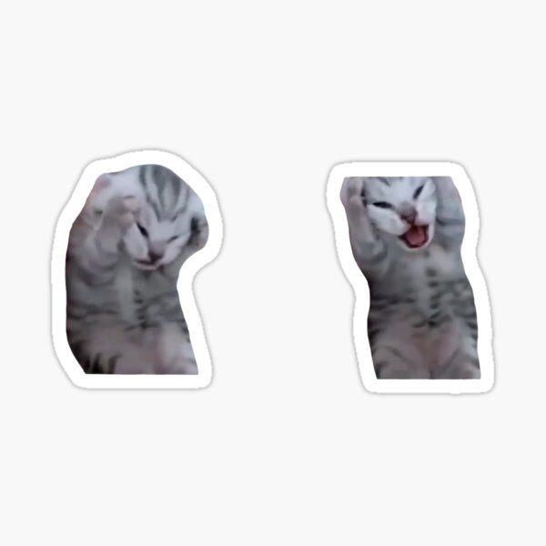 "Kitten Headache Cat Meme 2" Sticker for Sale by StellitoDesign | Redbubble