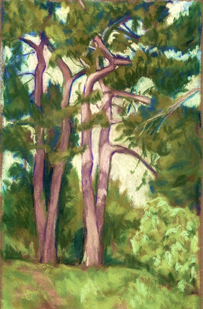 "Trees at Pen-y-Fal" by Judy Adamson | Redbubble