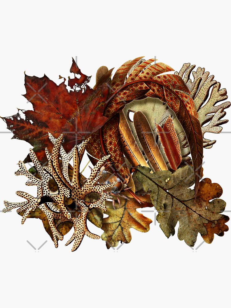 "AUTUMN-CORALS-023" Sticker for Sale by Dagagi | Redbubble