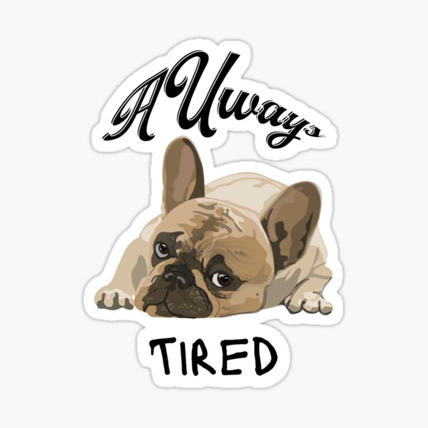 "Always tired, pug breed dog" Sticker for Sale by Bellagurgell | Redbubble