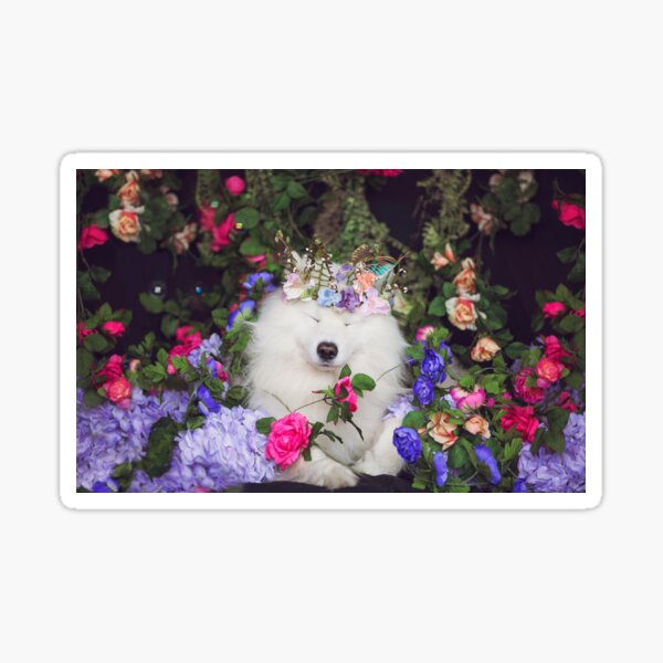 "King of the Fae" Sticker for Sale by Magical-Samoyed | Redbubble