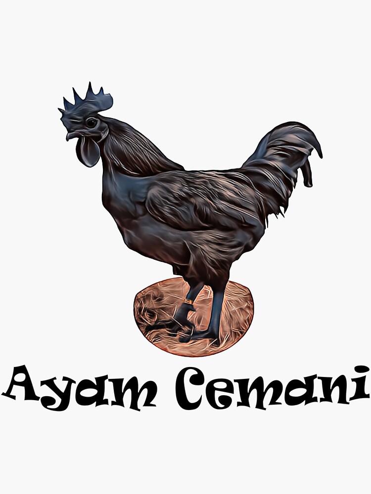 "Ayam Cemani Rooster" Sticker by Bertigrafie | Redbubble