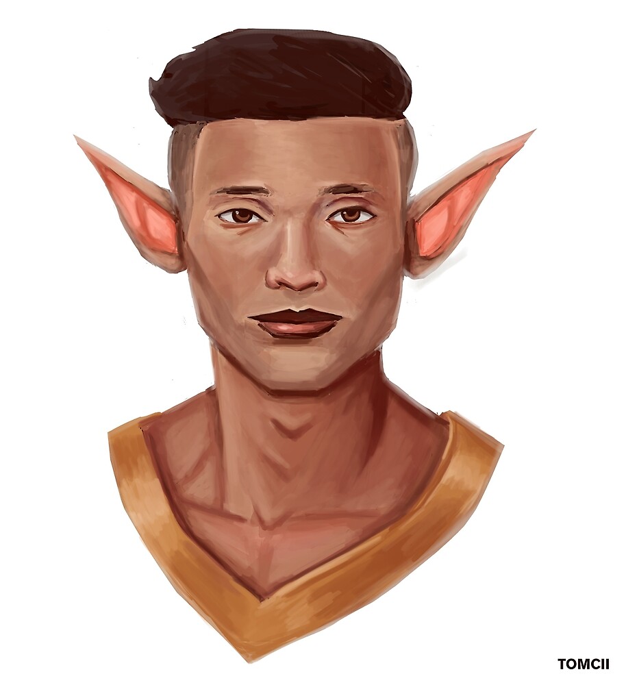 "Chad the Fantasy Kung Fu Elf" by tomcii | Redbubble