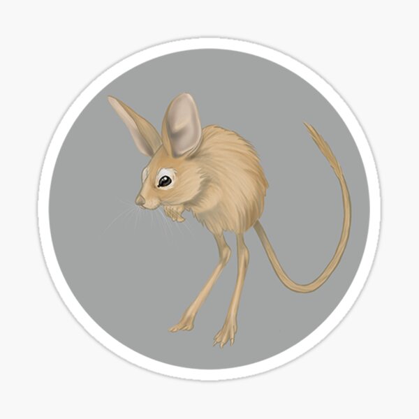 Jerboa Stickers | Redbubble