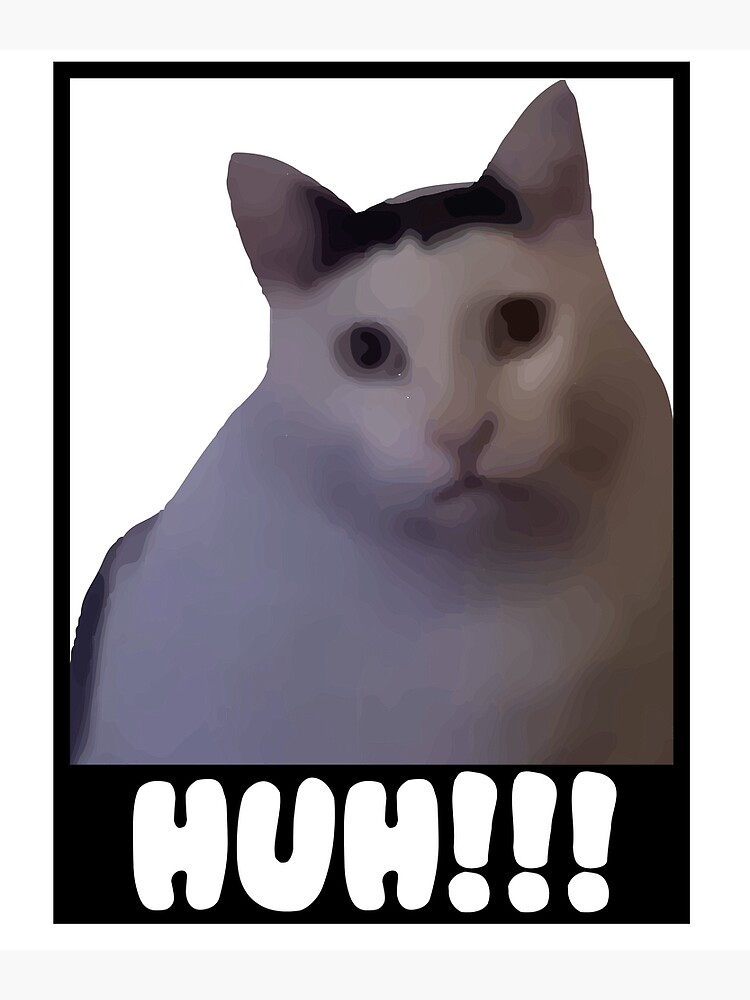 Ooh Cat Meme Huh.mp4