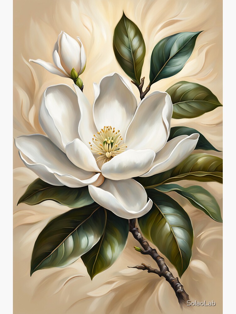 "White Magnolia flower" Sticker for Sale by GraphicDIN | Redbubble