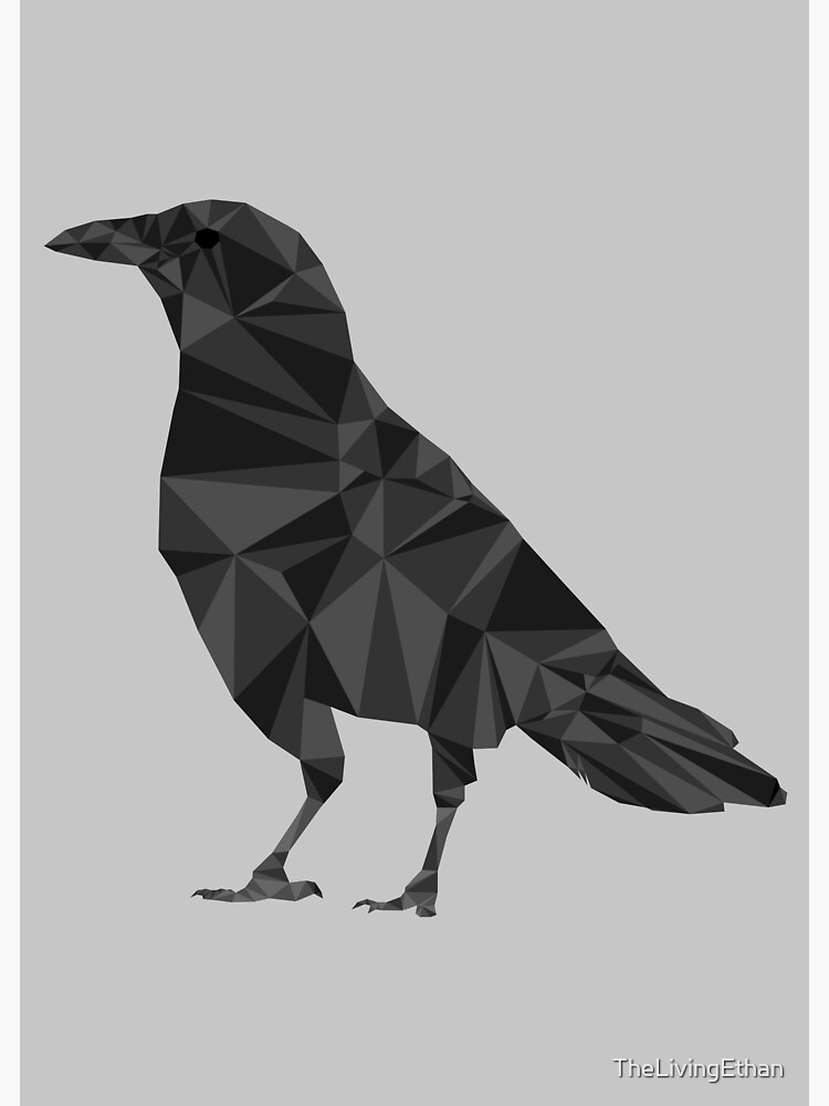 "Geometric Crow" Photographic Print for Sale by TheLivingEthan | Redbubble