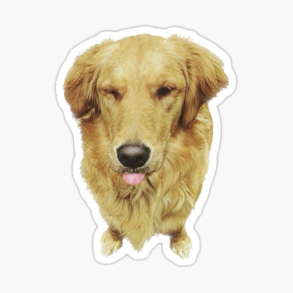 "dog winking" Sticker for Sale by Aspen207 | Redbubble