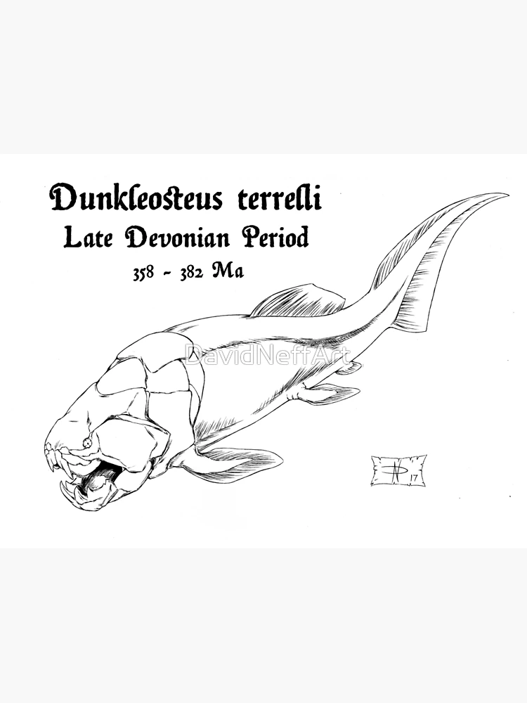 Dunkleosteus Fossil Drawing