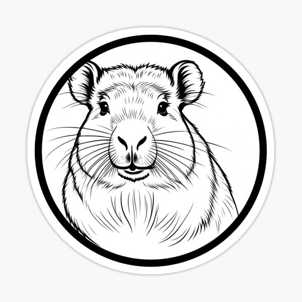 "Cute Capybara in Circle" Sticker for Sale by DANYSZ | Redbubble