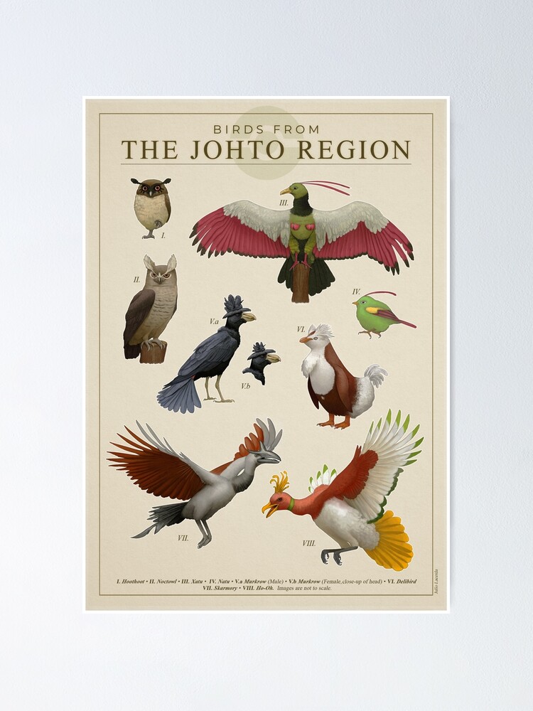 "Birds of Johto" Poster for Sale by Julio Lacerda | Redbubble