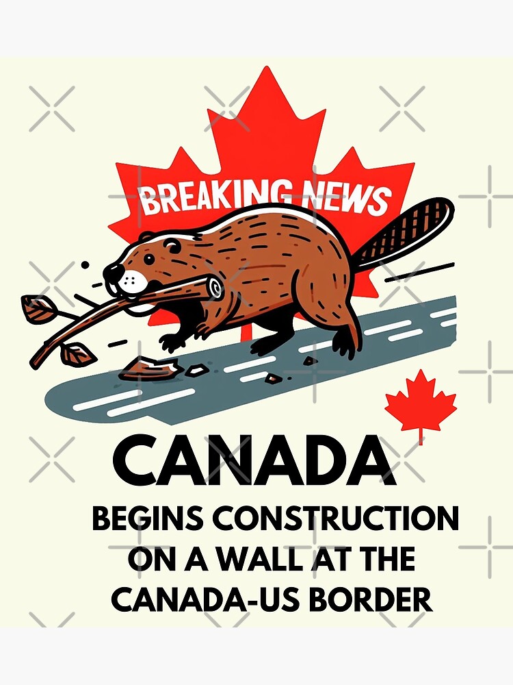 Canada Beaver Memes Canadian Beaver Holding Flag Stock Illustrations