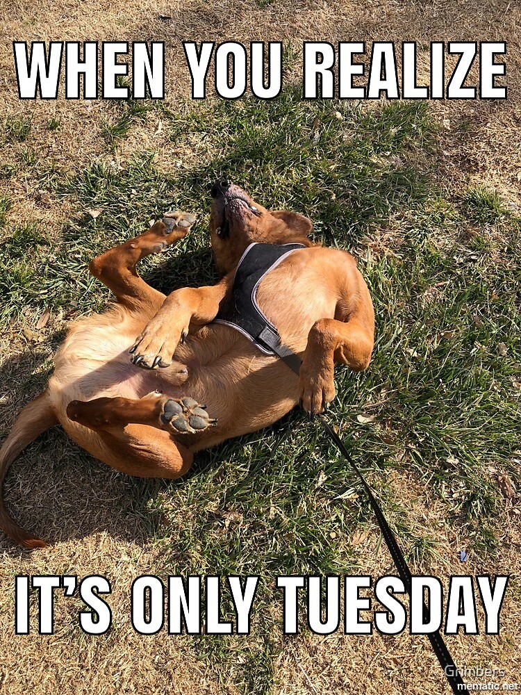 "Only Tuesday?" by Grimbers | Redbubble